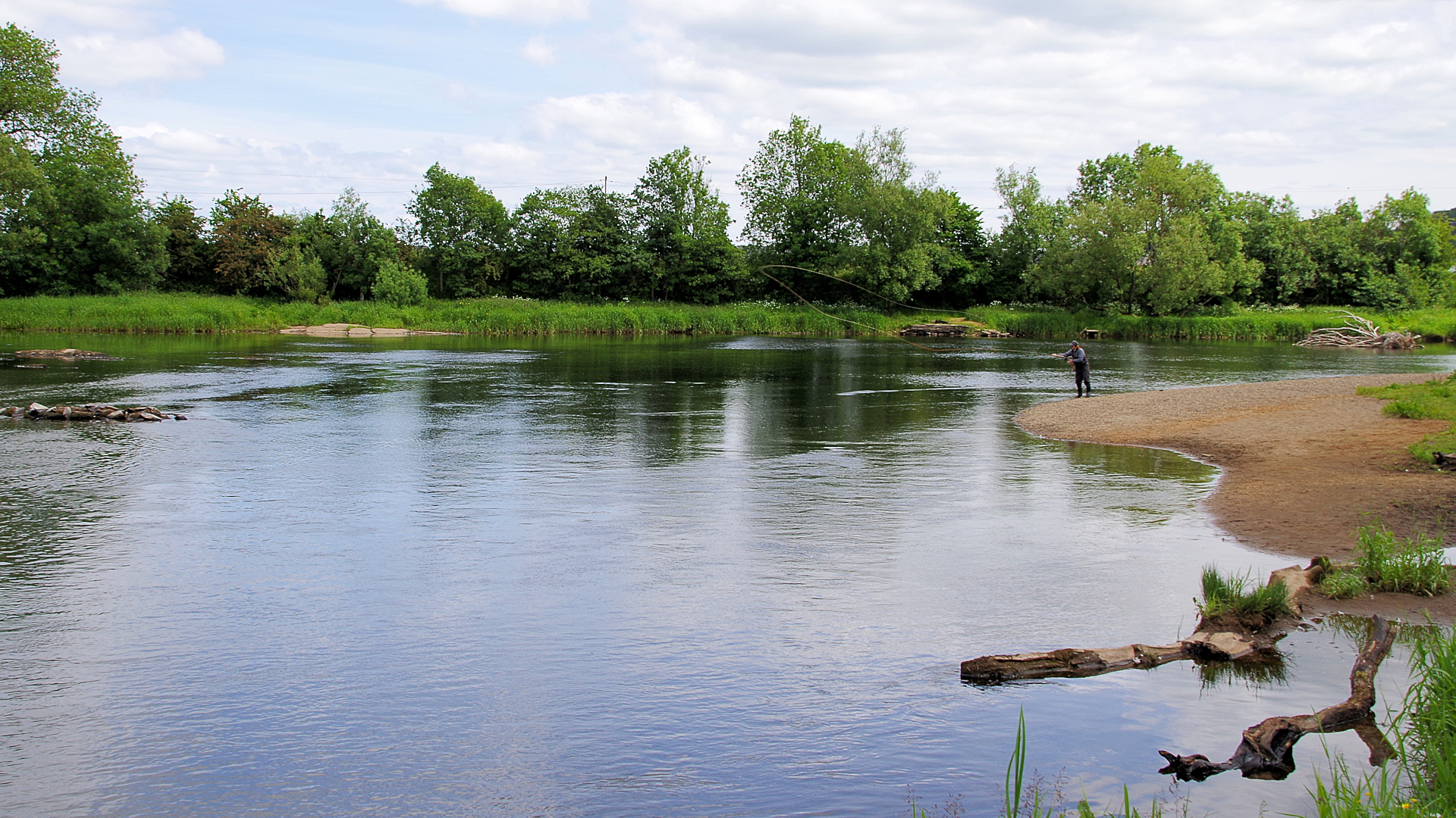 River Forth walk, Stirling to Craigforth – colinbaird.net
